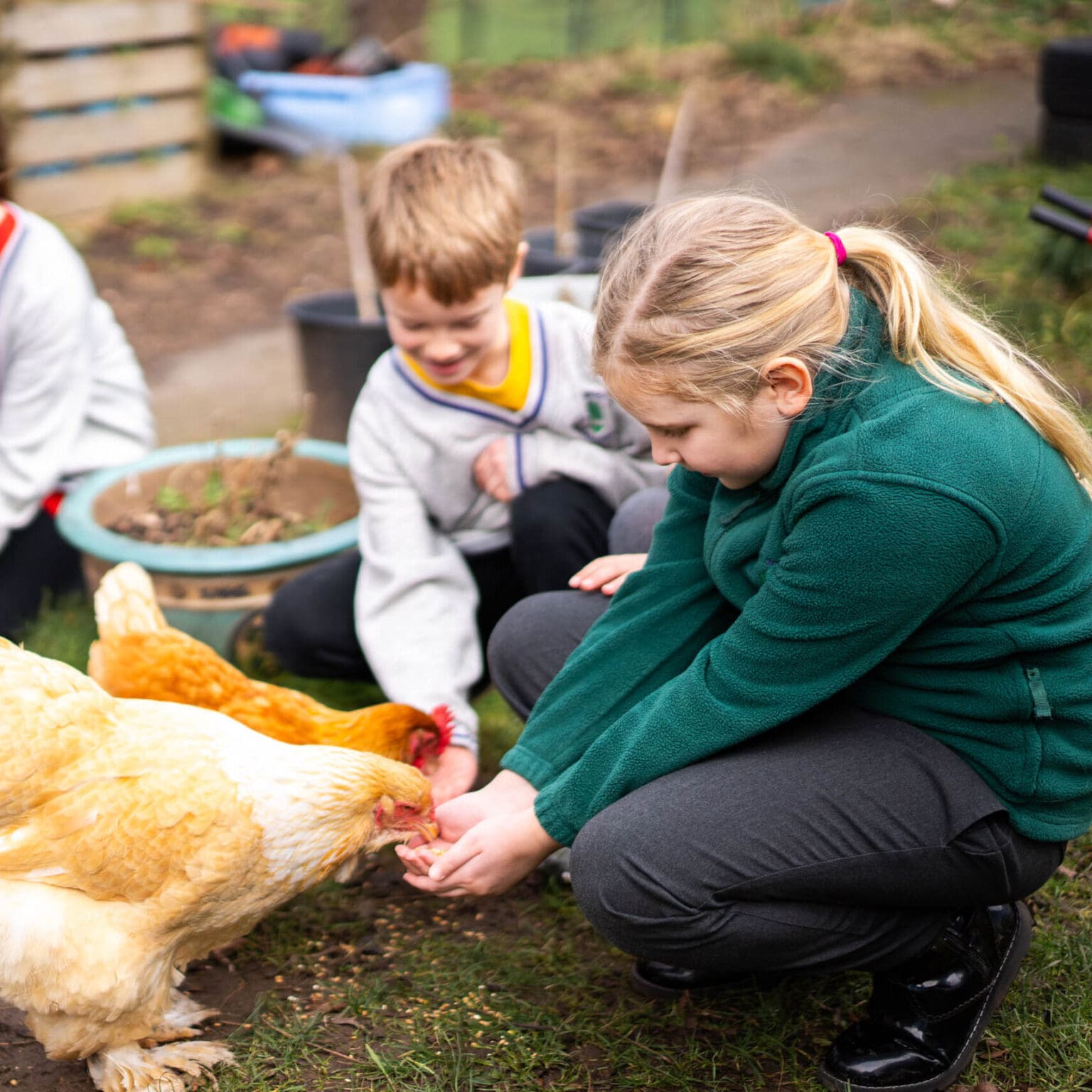 Home - Heymann Primary School