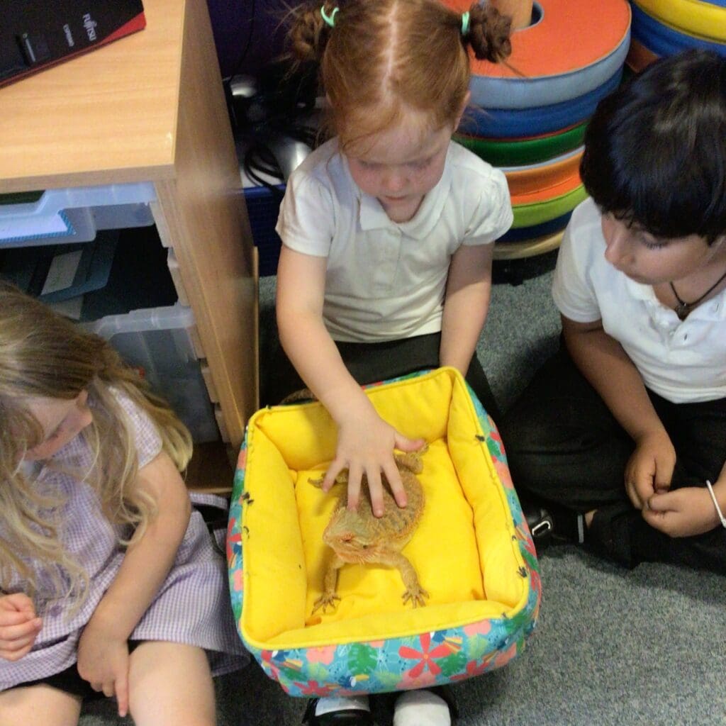 RL Lion Learners- Animal Handling - Heymann Primary School