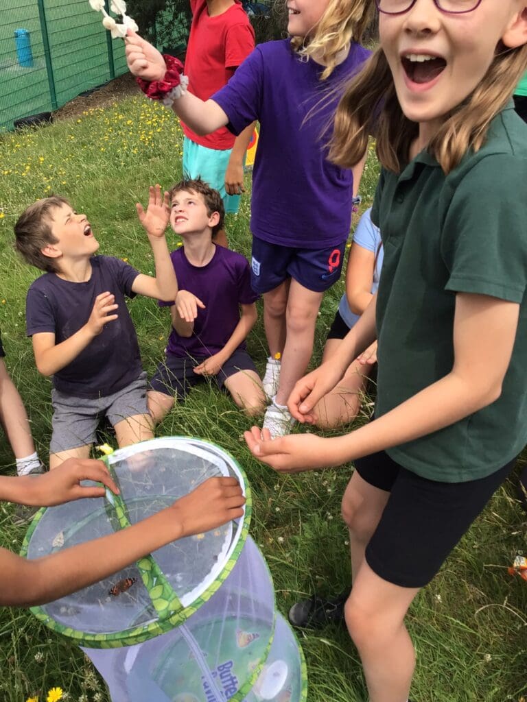 Y5: Butterflies - Heymann Primary School